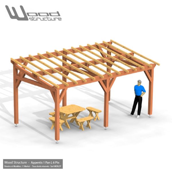 Kit Appentis Bois - Wood Structure