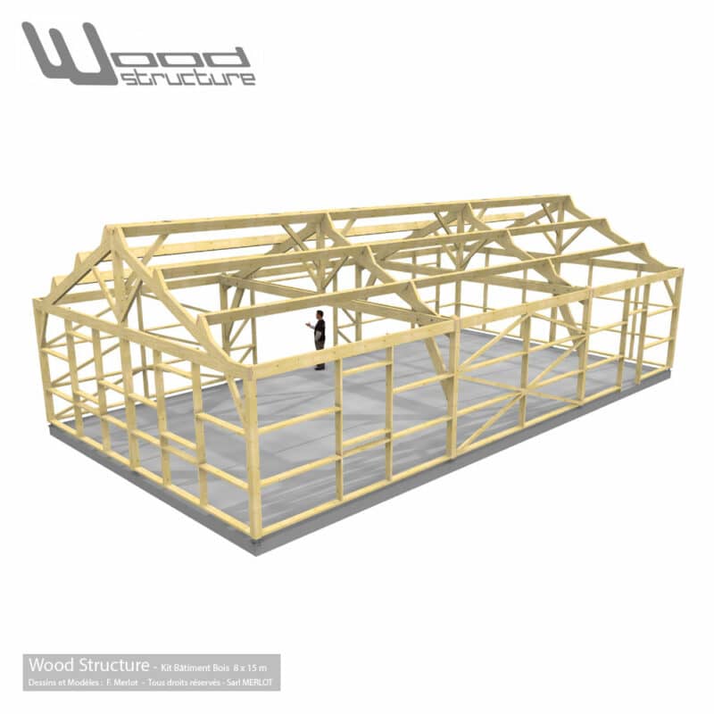 Appentis 1 Pan M - Kit Charpente Bois - Wood Structure